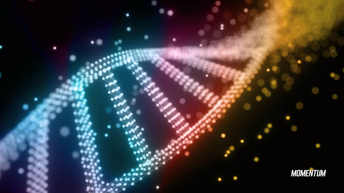 Discipleship DNA - Colorado Baptists